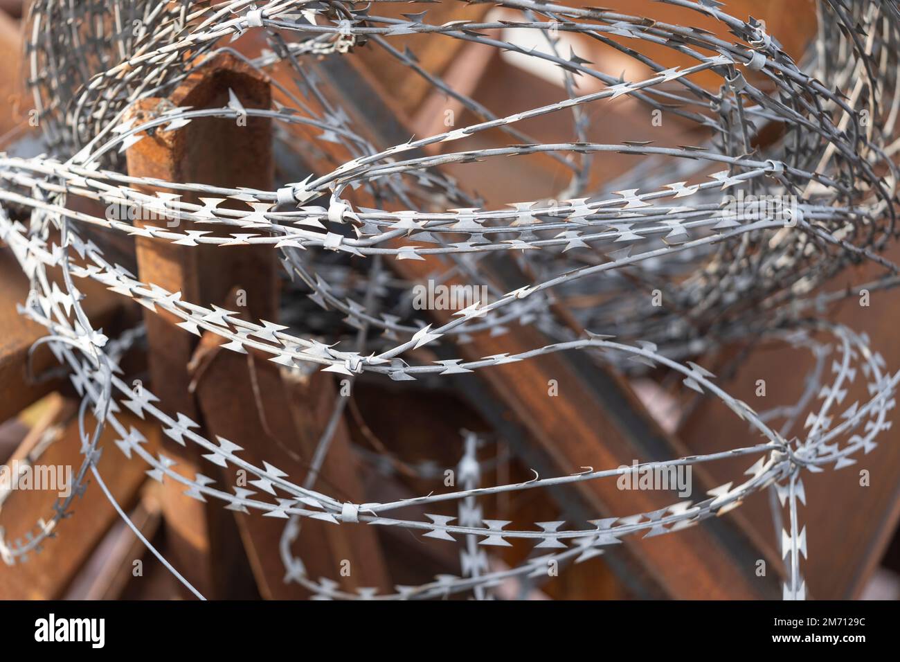 Barbed wire stretched over anti-tank hedgehogs. Fortified defense line ...
