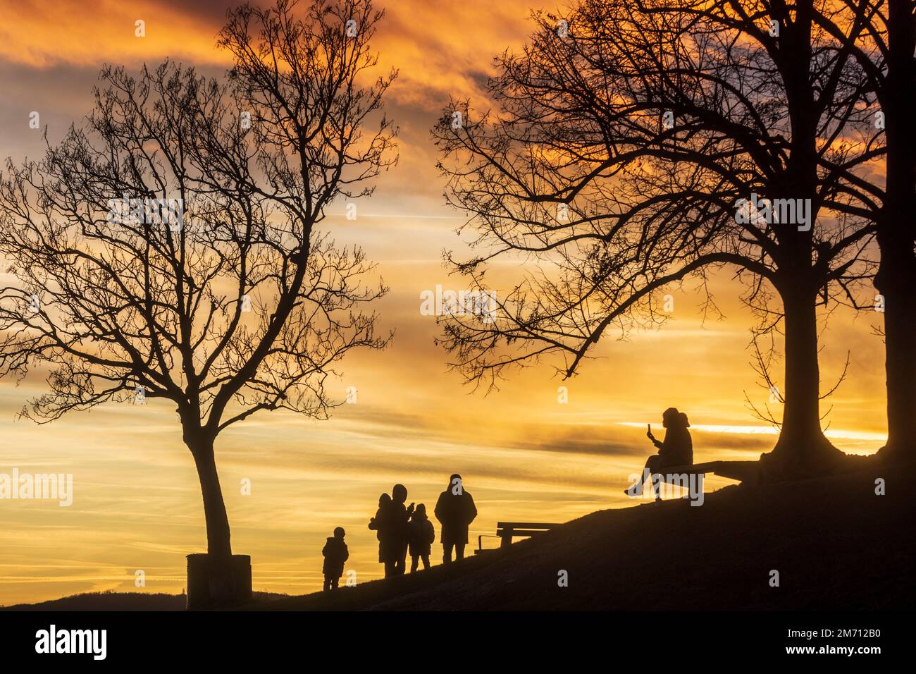 Wien, Vienna: meadow and viewpoint Bellevuewiese, leafless trees, fiery ...