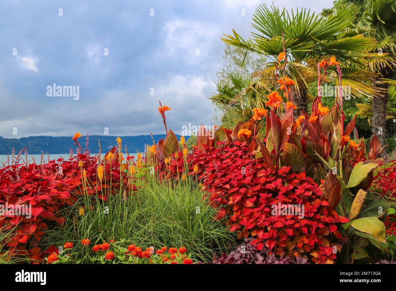 Garden culture path, promenade, plants, beds, flowers, back Lake ...
