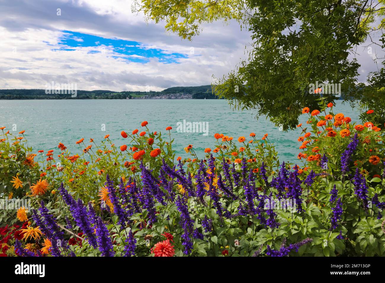 Garden culture path, promenade, plants, beds, flowers, back Lake ...