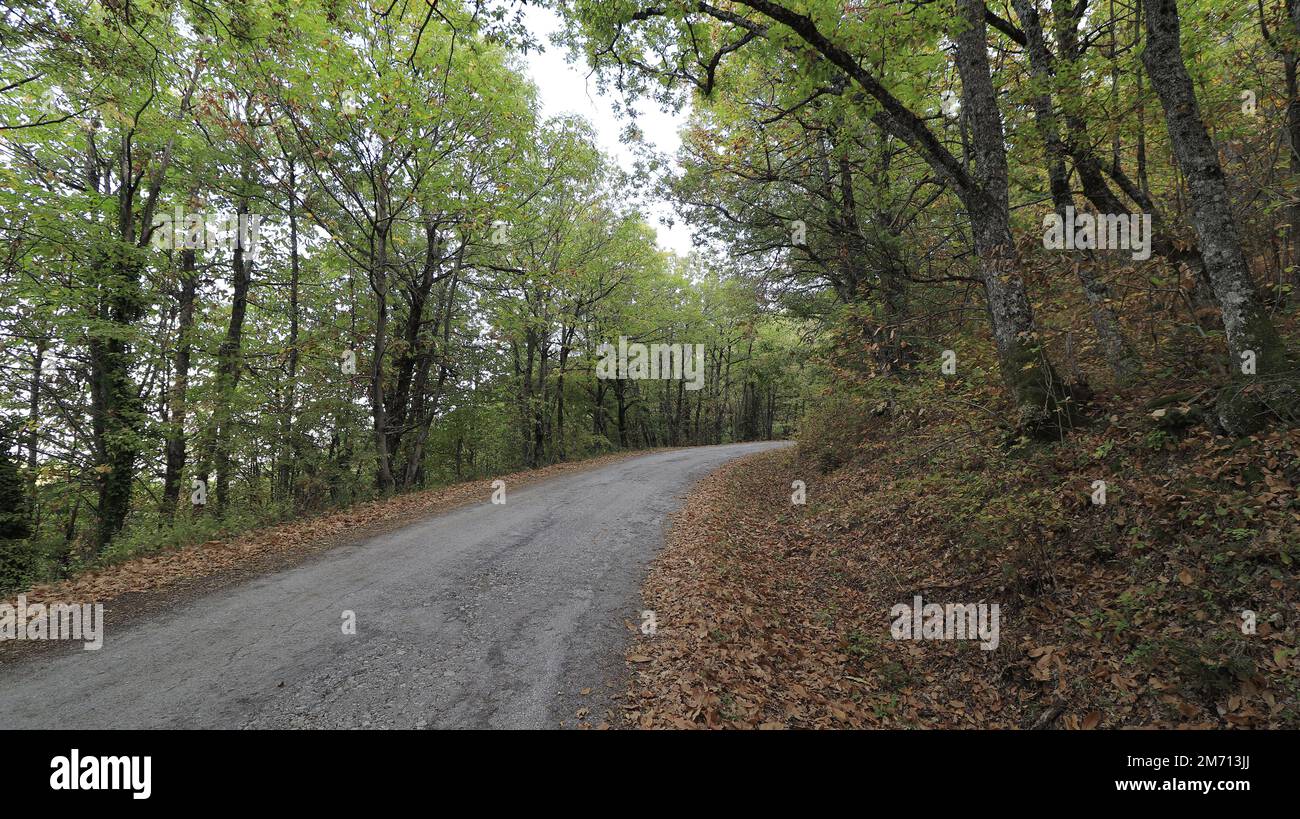 Lakeside road at Plastira Lake, Autumn, Karditsa, Thessaly, Greece ...