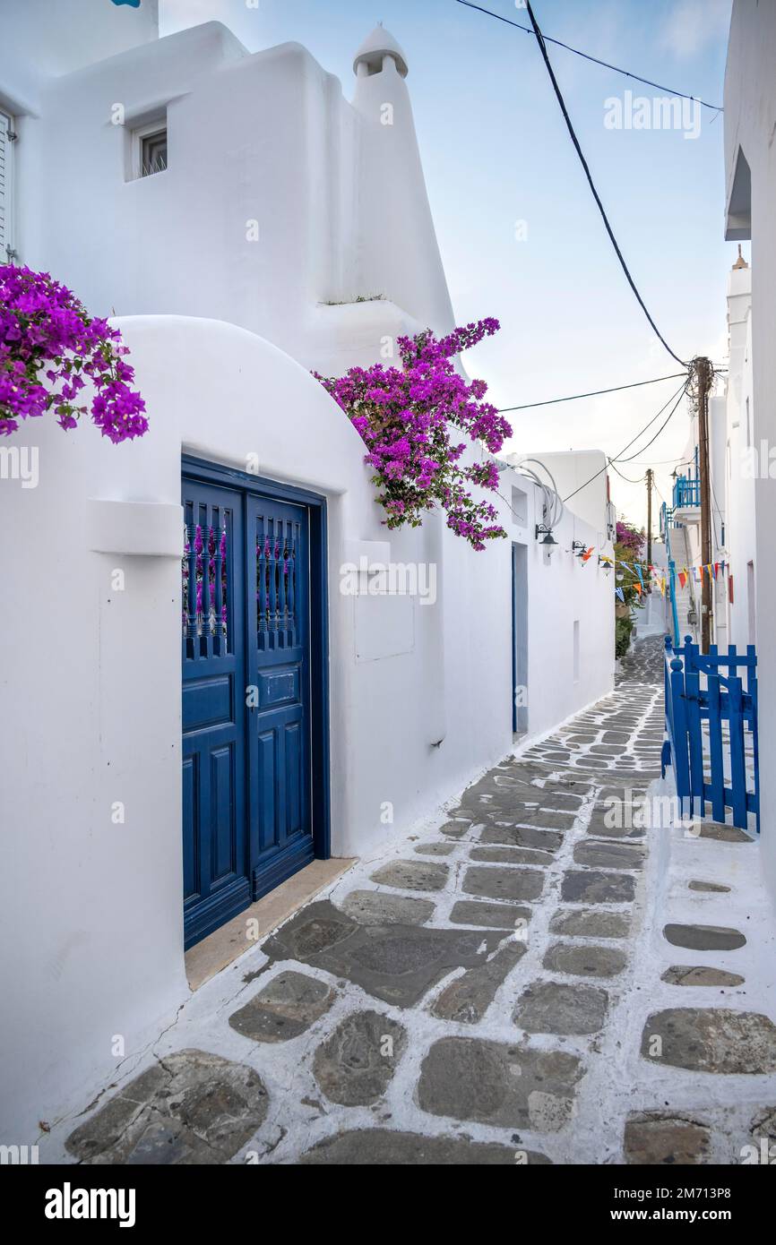 Cycladic white houses with blue shutters and bougainvillea, alleys of ...