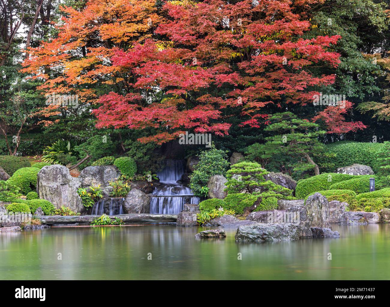Ohorikoen hi-res stock photography and images - Alamy