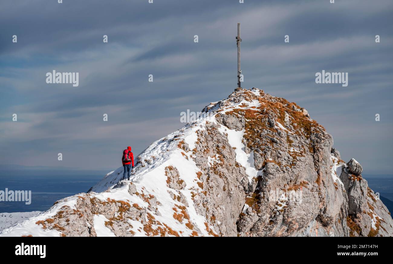 Mountaineer on the summit ridge with summit cross, hiking to Ammergauer ...