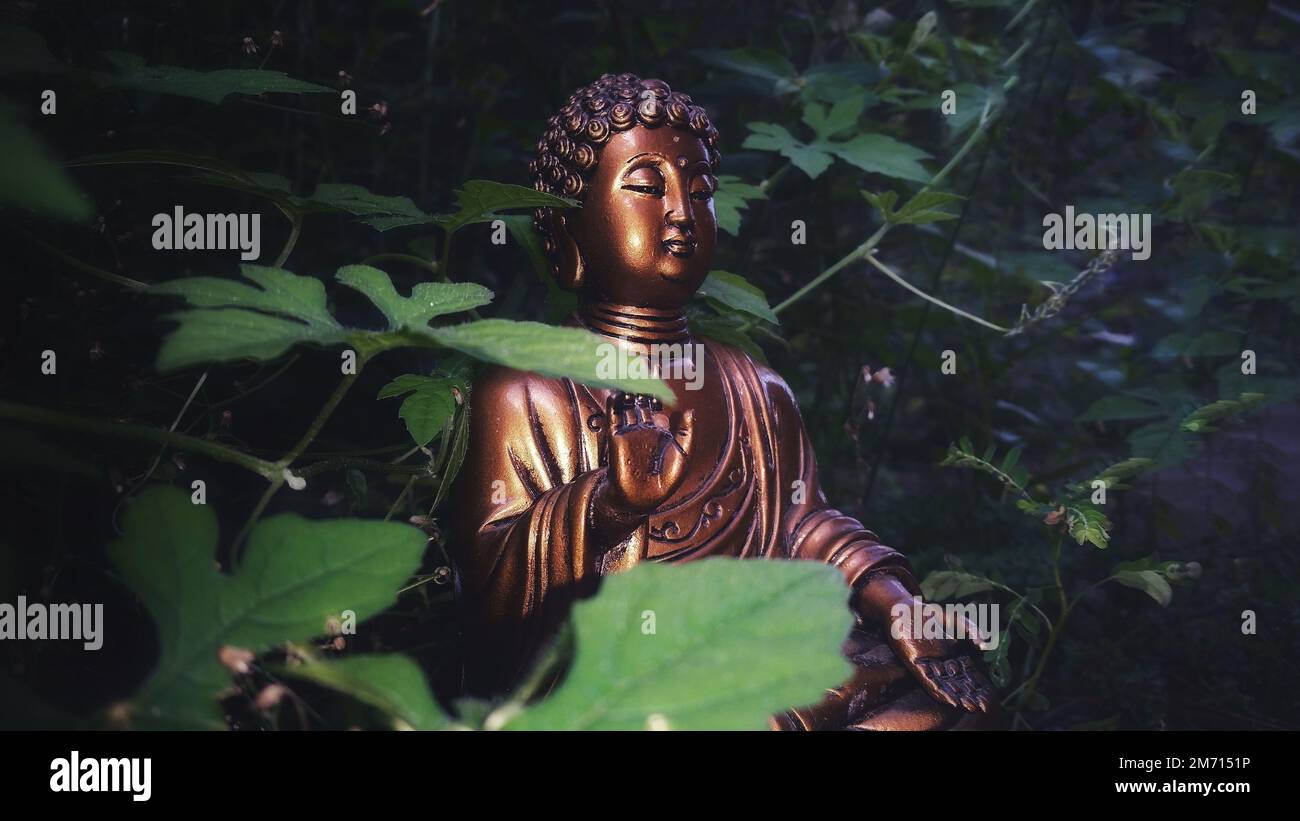 A brown buddha statue in meditation in the forest with green plants around Stock Photo - Alamy