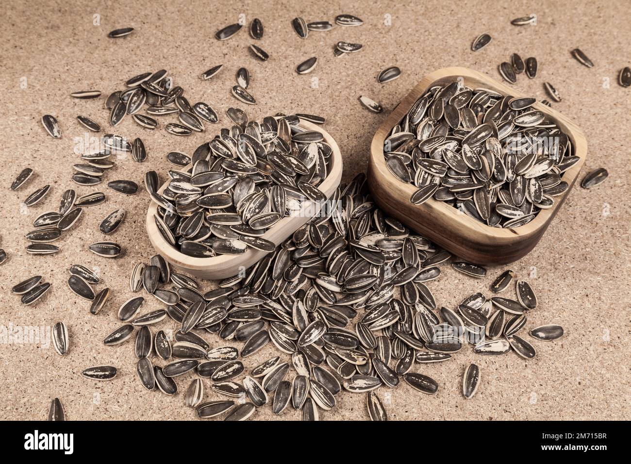 Sunflower Seeds - Helianthus Annuus Stock Photo - Alamy