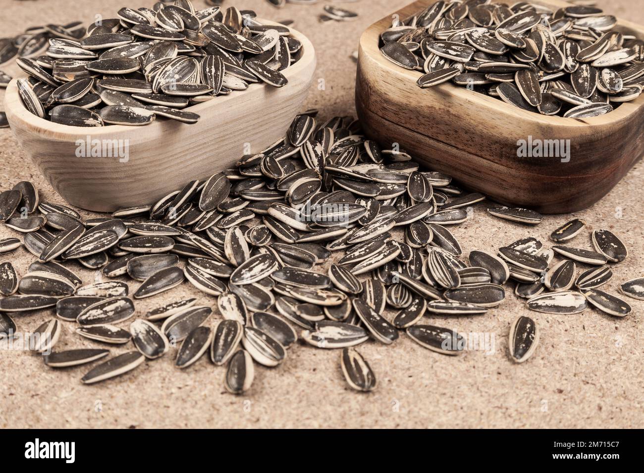 Sunflower Seeds - Helianthus Annuus Stock Photo - Alamy