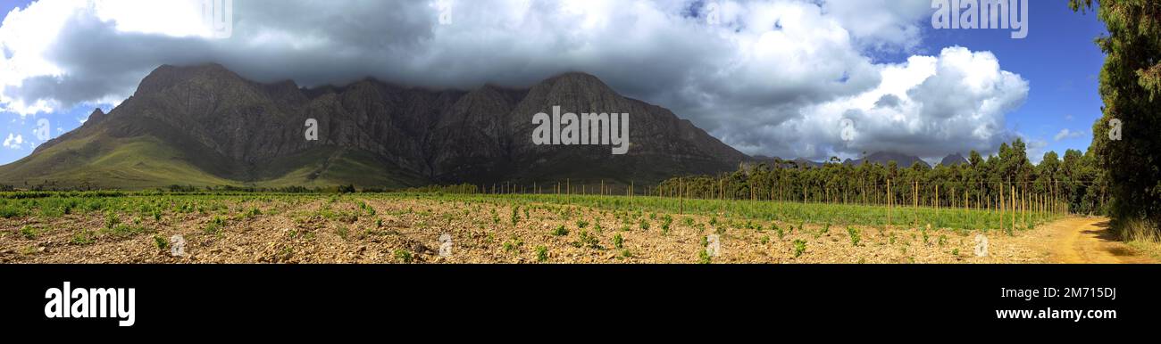 A panoramic shot of the Slanghoek, Little Drakenstein, and Elandskloof ...