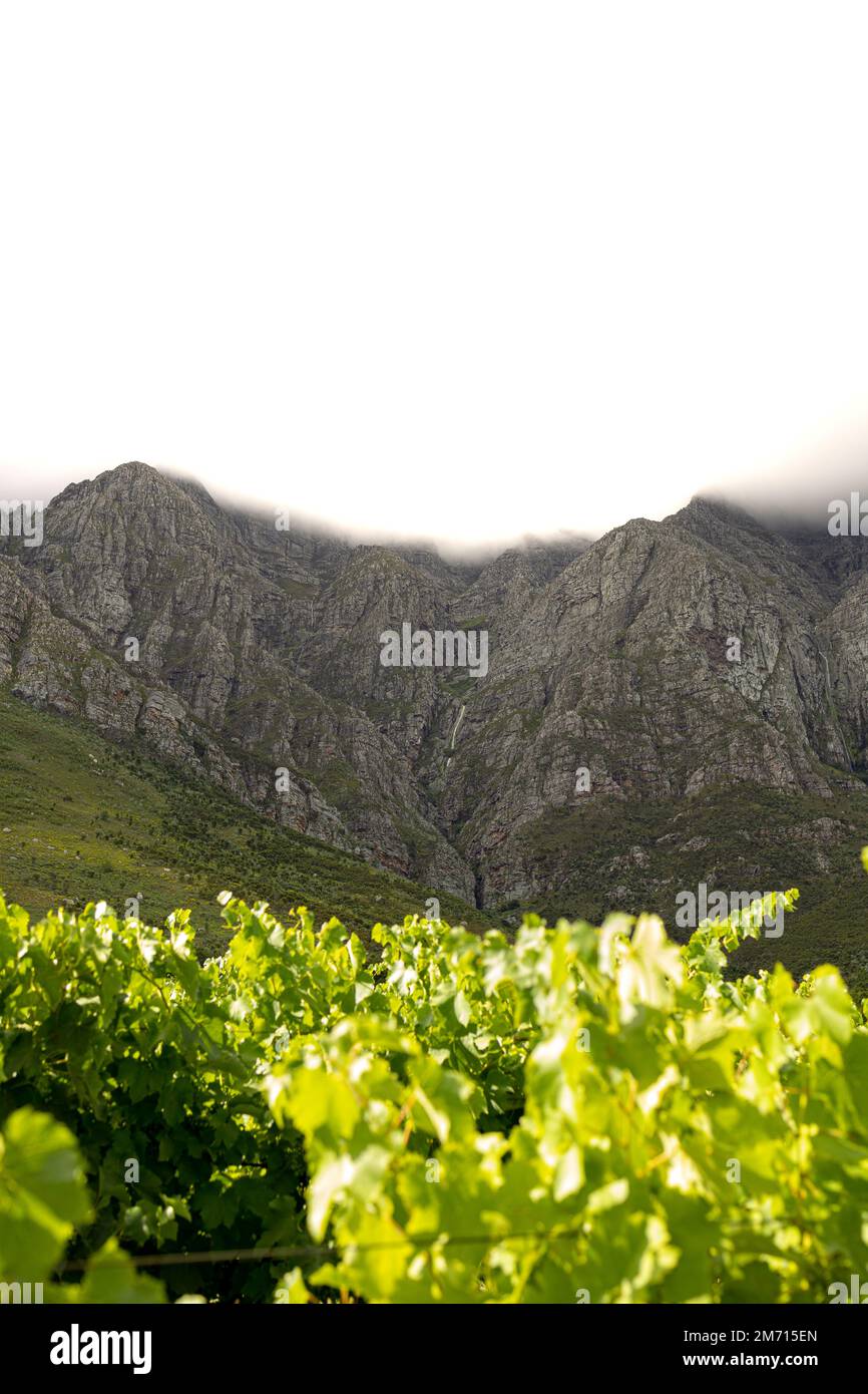 A vertical shot of the Slanghoek, Little Drakenstein, and Elandskloof ...