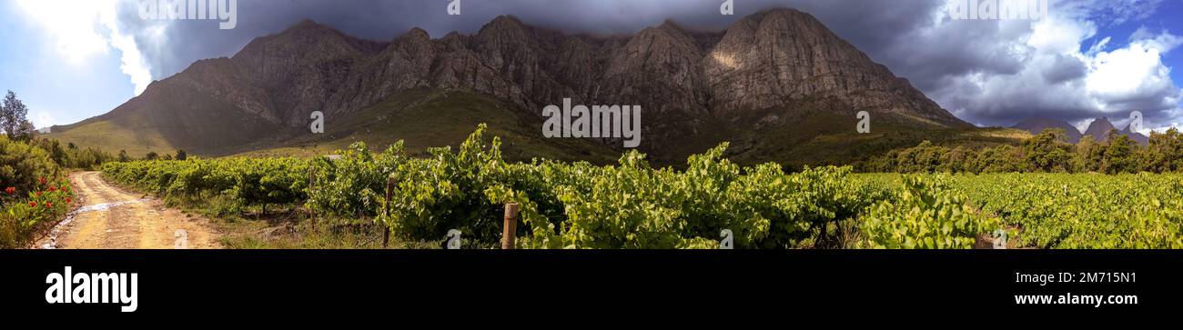 A panoramic shot of the Slanghoek, Little Drakenstein, and Elandskloof ...