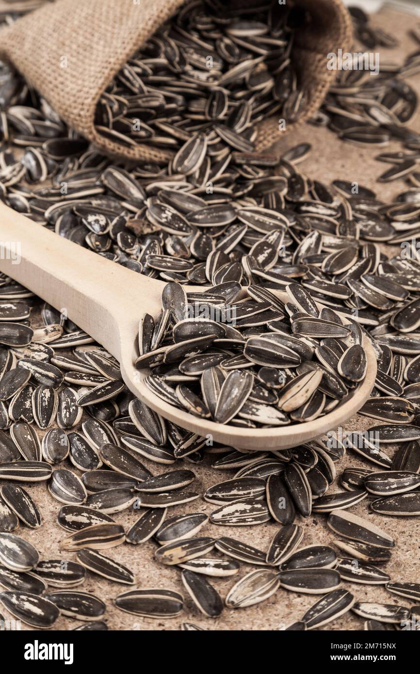 Sunflower Seeds - Helianthus Annuus Stock Photo - Alamy
