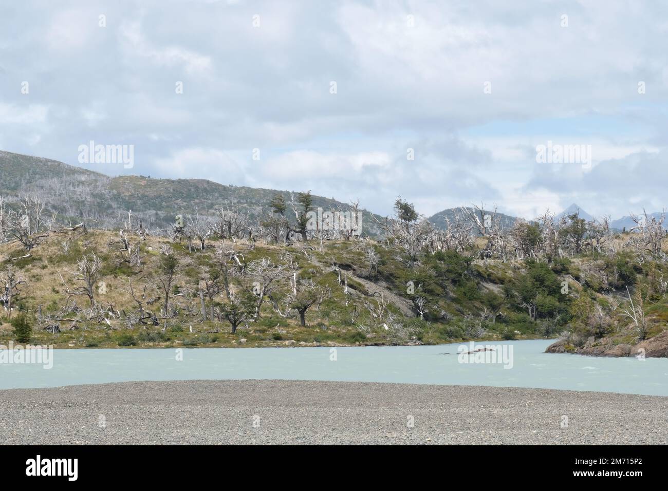Lake grey, lookout, glacier, Lago Grey, National Park Torres del Paine ...
