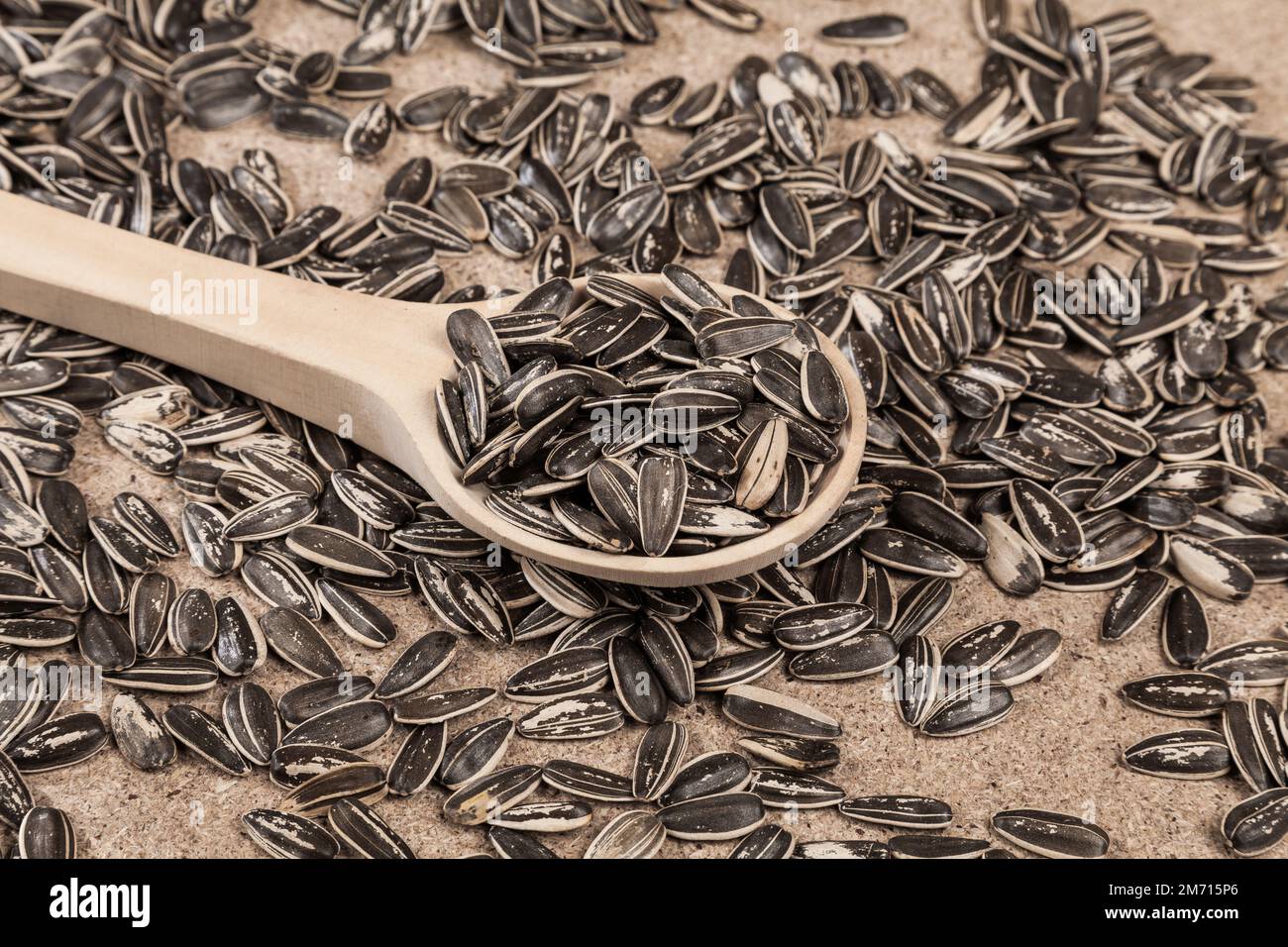 Sunflower Seeds - Helianthus Annuus Stock Photo - Alamy