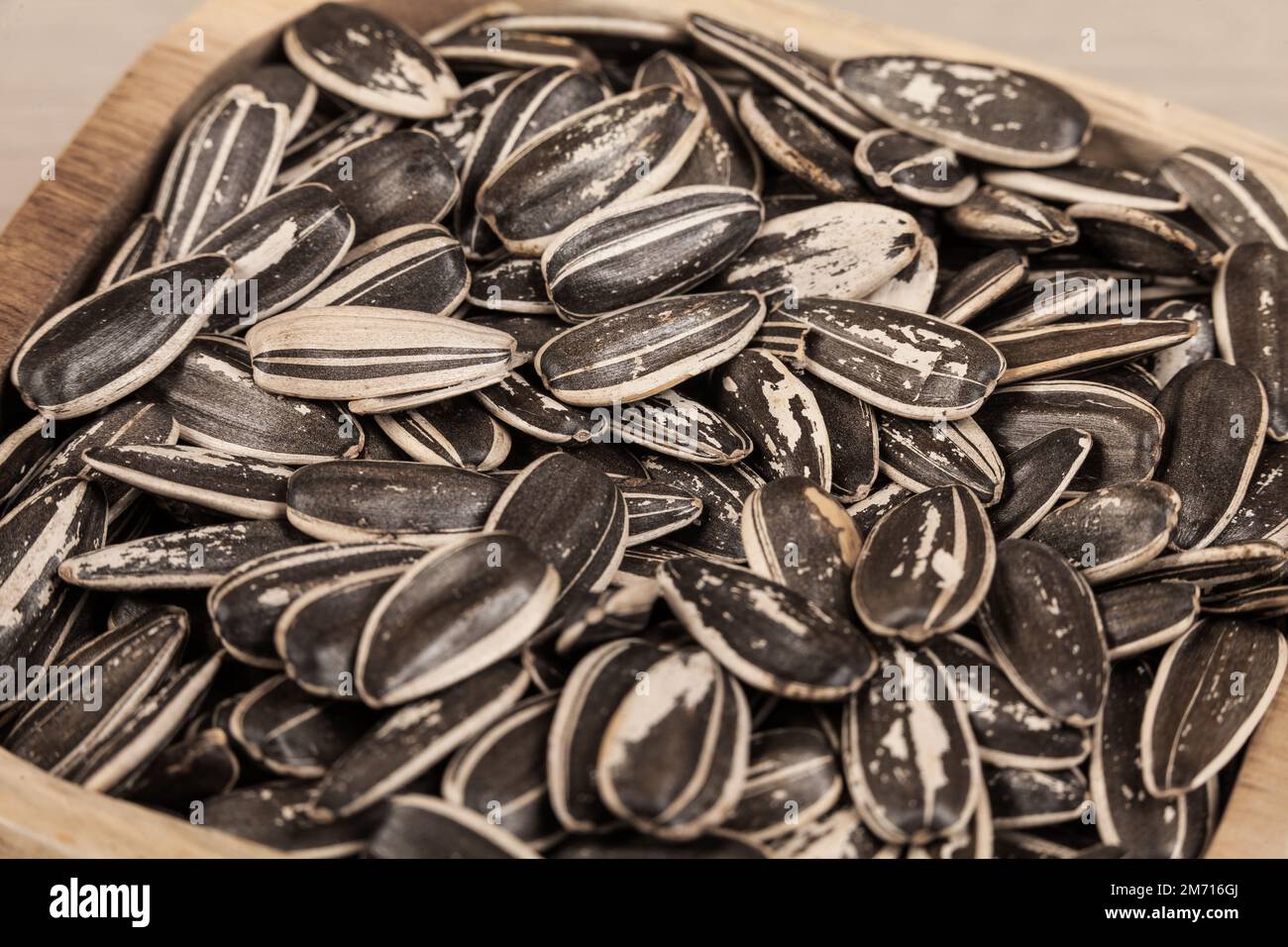 Sunflower Seeds - Helianthus Annuus Stock Photo - Alamy