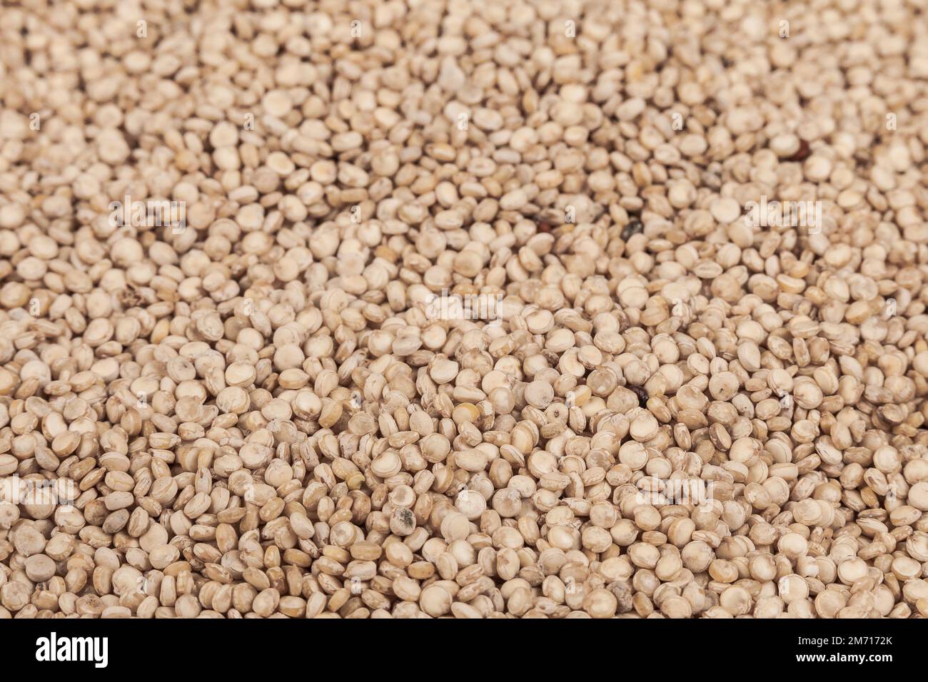 Raw Organic Amaranth Grain - Amaranthus Stock Photo - Alamy