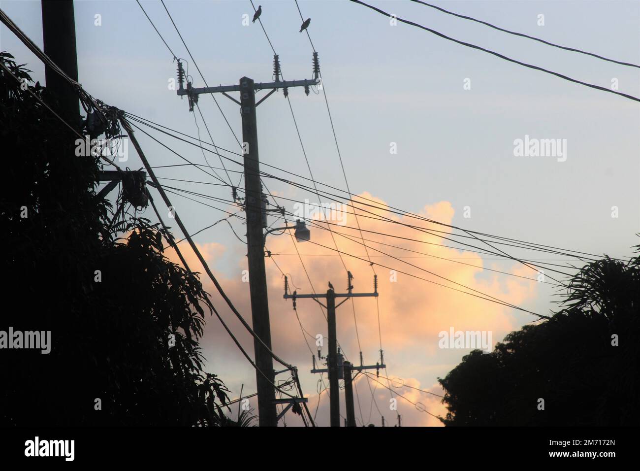 Telephone poles and cables during sunrise Stock Photo - Alamy