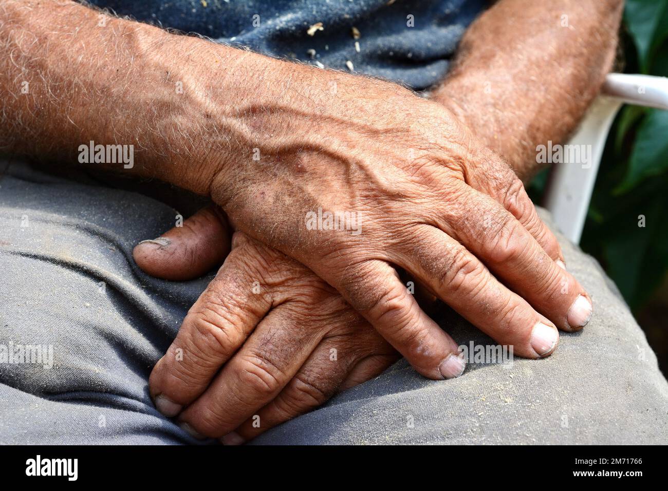 Tough, poor, patient, hands of old man work hard, labor worker farmer ...