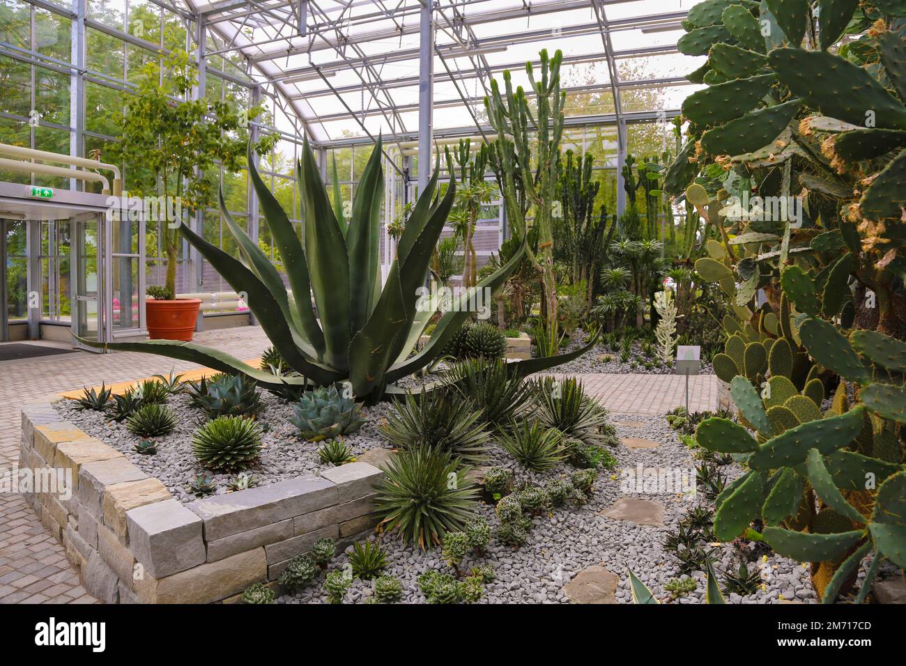 Glass plant house in the villa gardens by the lake, spa garden, cacti plants, cactus (Cactaceae ...