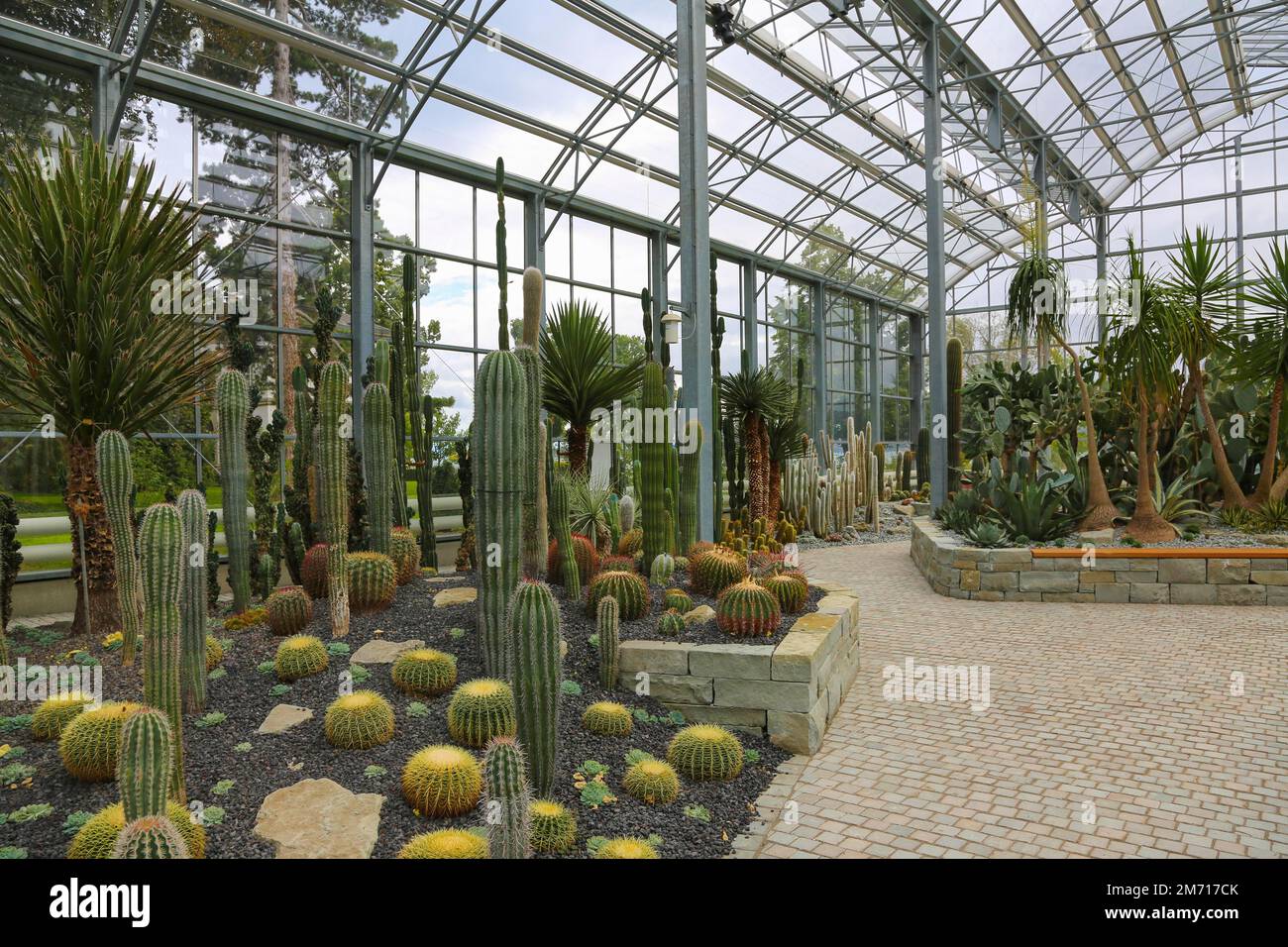 Glass plant house in the villa gardens by the lake, spa garden, cacti plants, cactus (Cactaceae ...