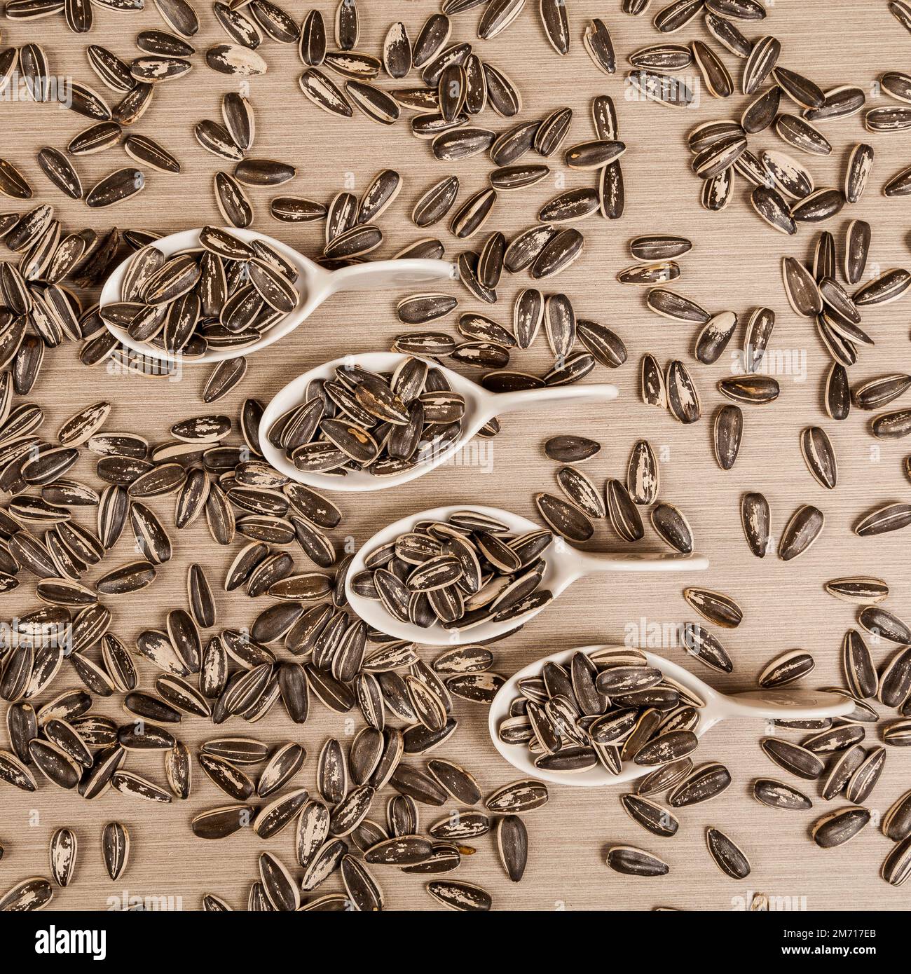 Sunflower Seeds - Helianthus Annuus Stock Photo - Alamy