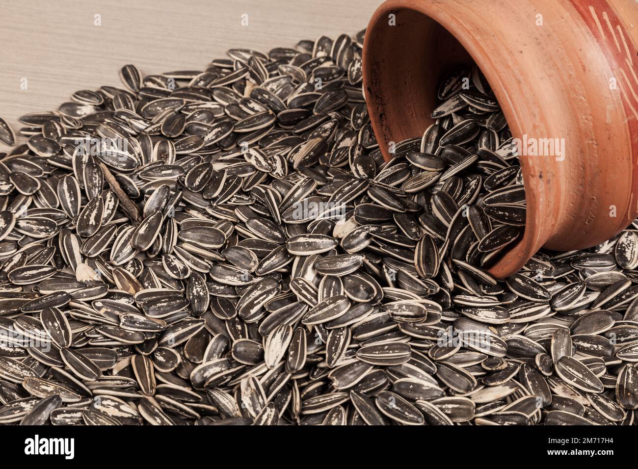 Sunflower Seeds - Helianthus Annuus Stock Photo - Alamy