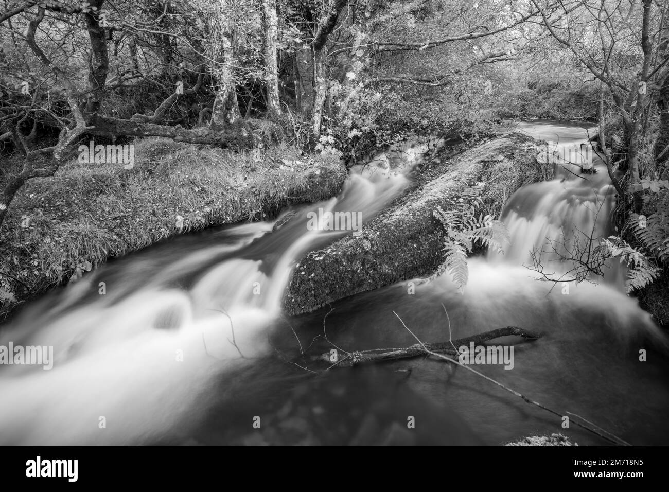 Stream on exmoor national Black and White Stock Photos & Images - Alamy