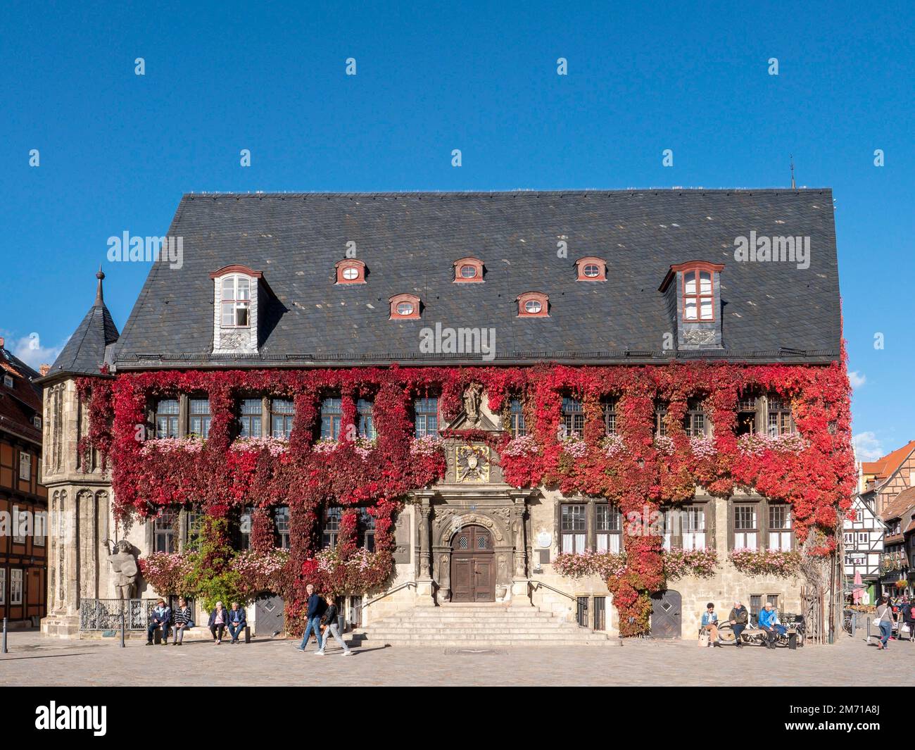 Historic town hall in red autumn leaves on the market square ...
