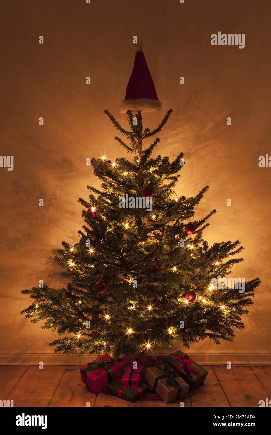 Christmas tree with a Christmas hat on the top of the tree Stock Photo ...