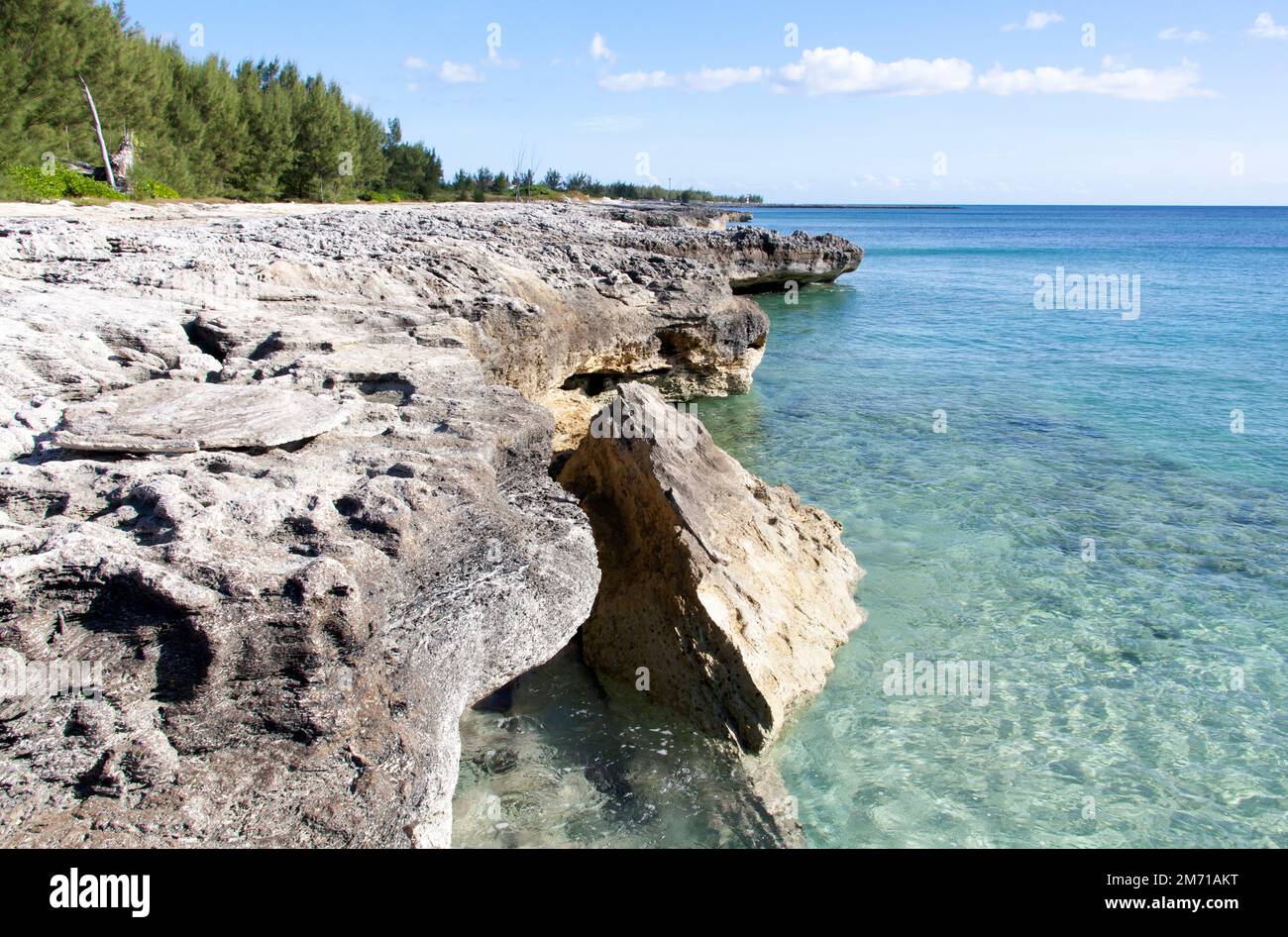 The scenic view of eroded rocky shore on Grand Bahama island and ...