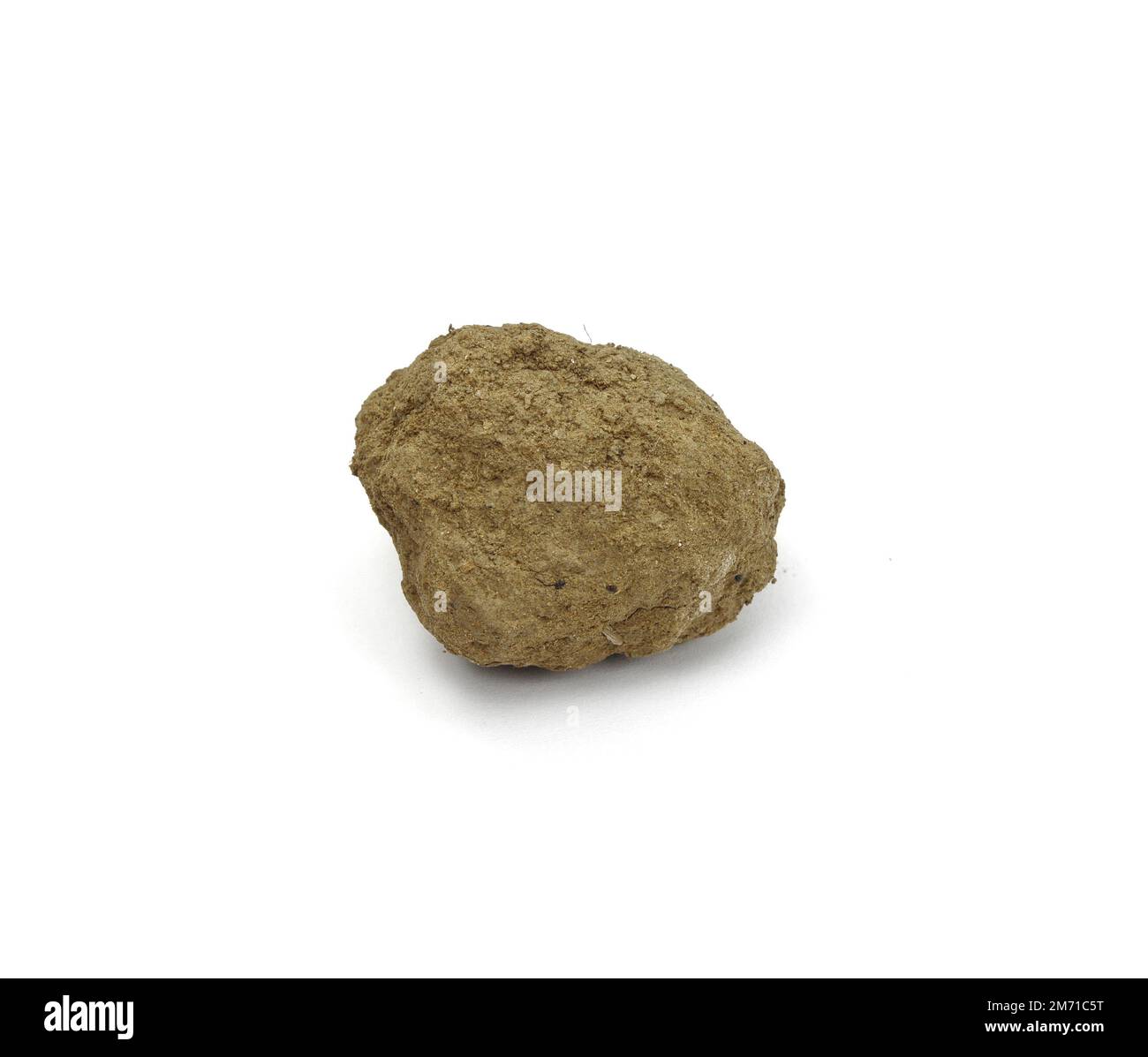 a clod of earth isolated on white background Stock Photo - Alamy