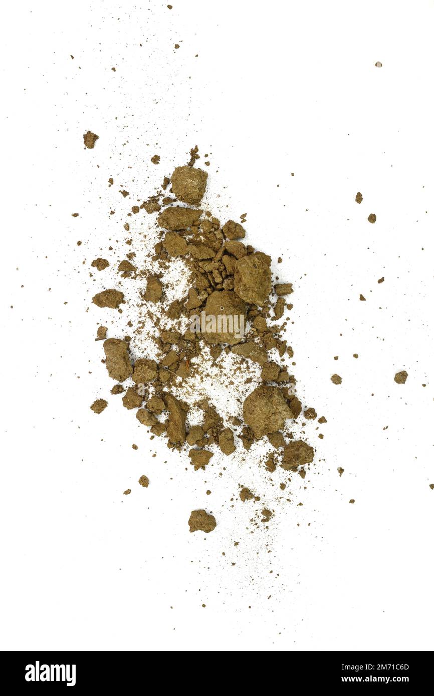 Dirty earth on white background. Natural soil texture. Pile of dried ...