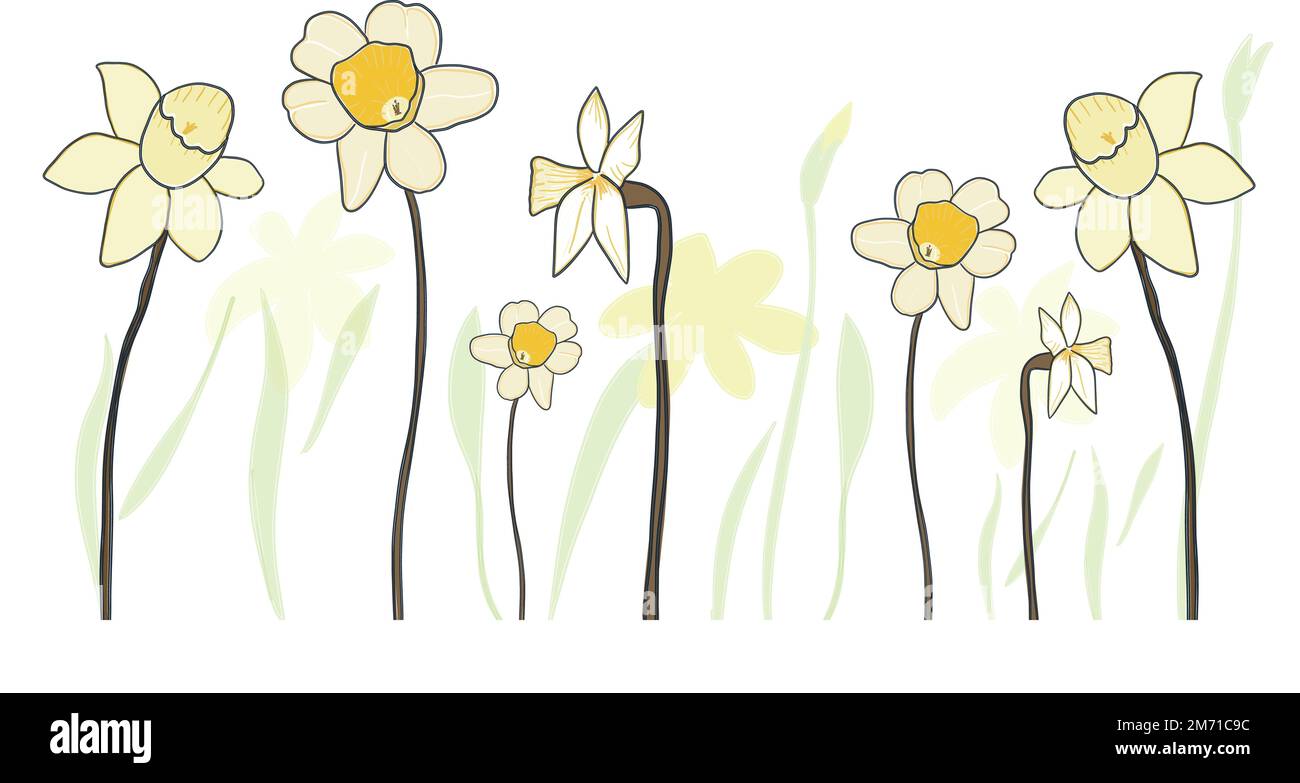 Butterfly narcissus Stock Vector Images - Alamy