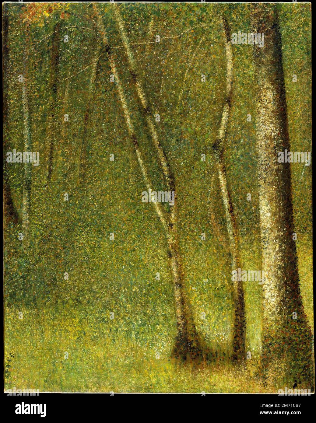 The Forest at Pontaubert. Georges Seurat. 1881 Stock Photo - Alamy