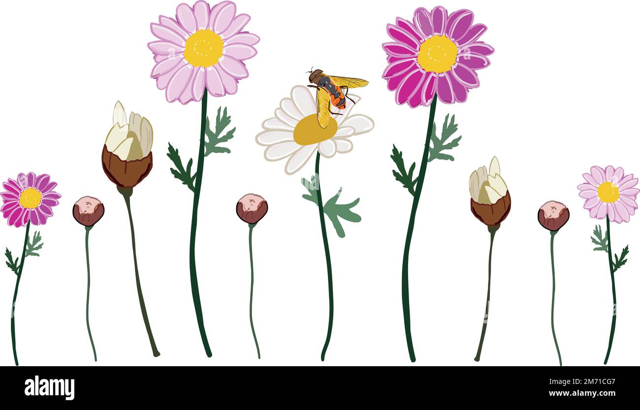 Purple, white flowers and bee spring flower border Stock Vector Image ...