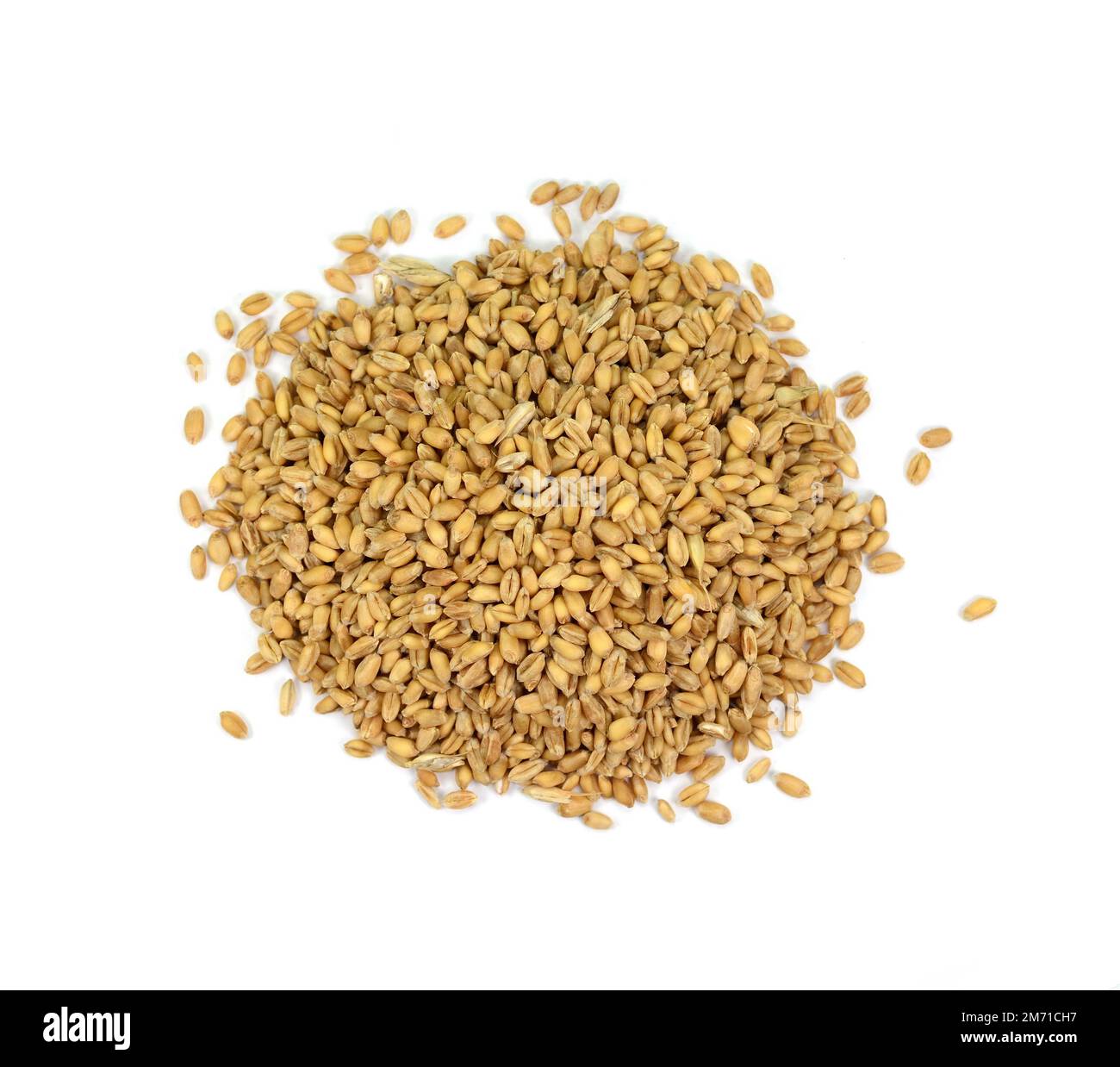 Wheat pile top view on white background Stock Photo - Alamy