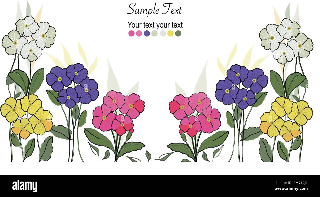 Primula vulgaris colorful spring flower border design Stock Vector ...