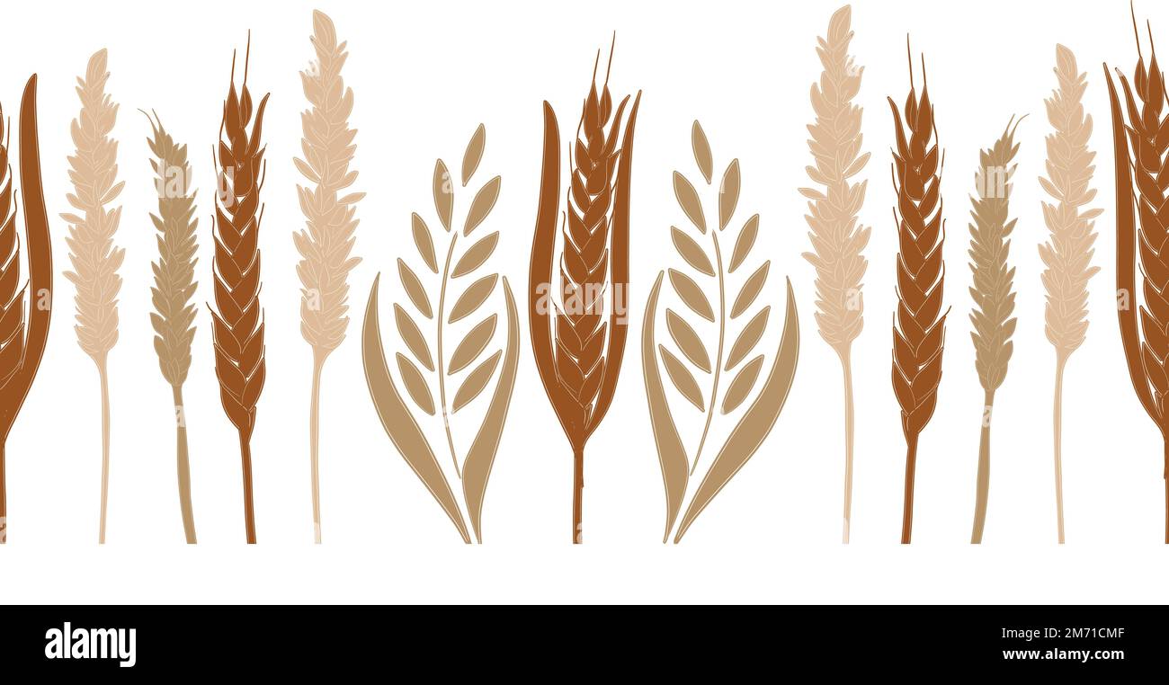 Macro wheat grain Stock Vector Images - Alamy