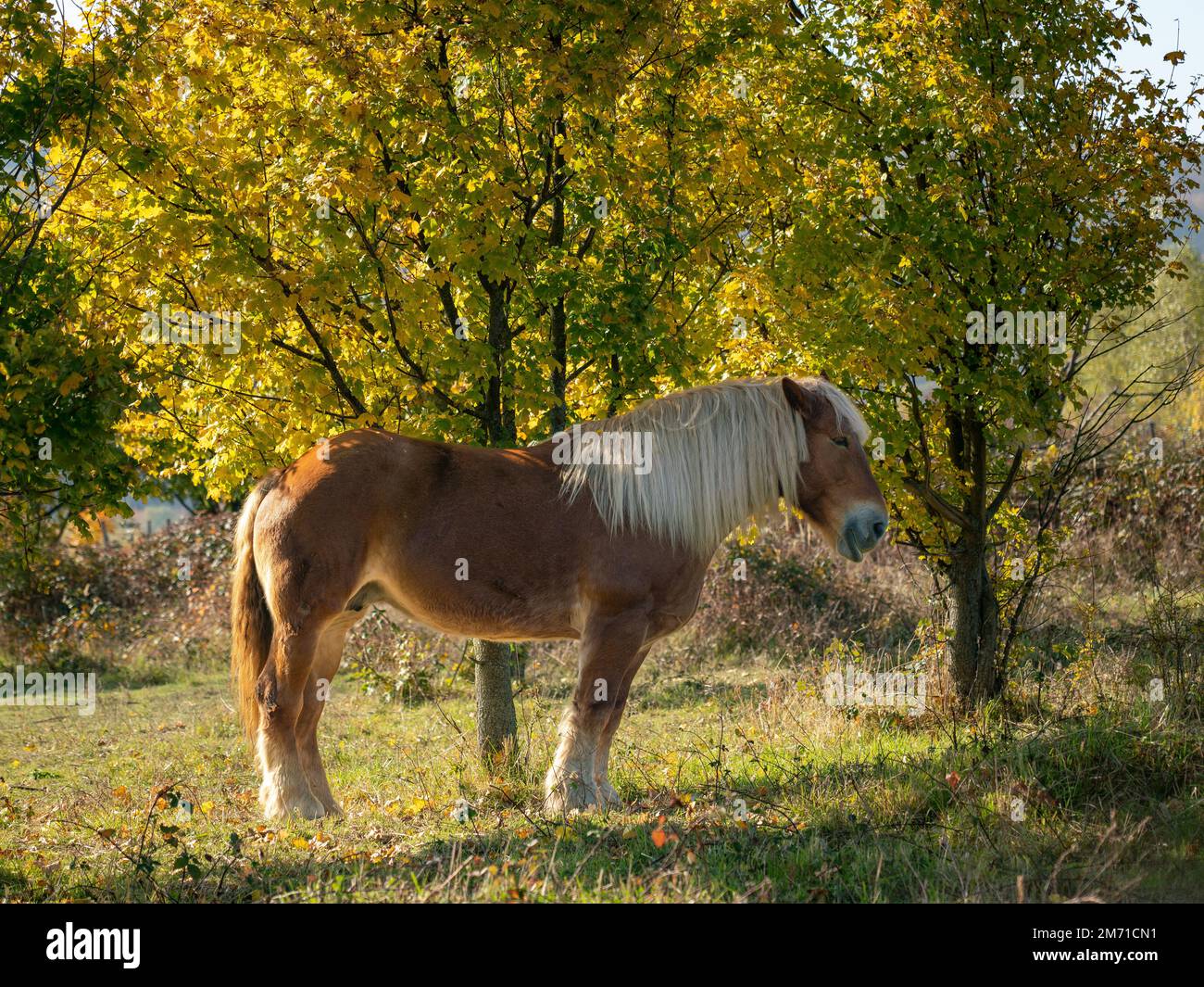Draught draft hi-res stock photography and images - Alamy