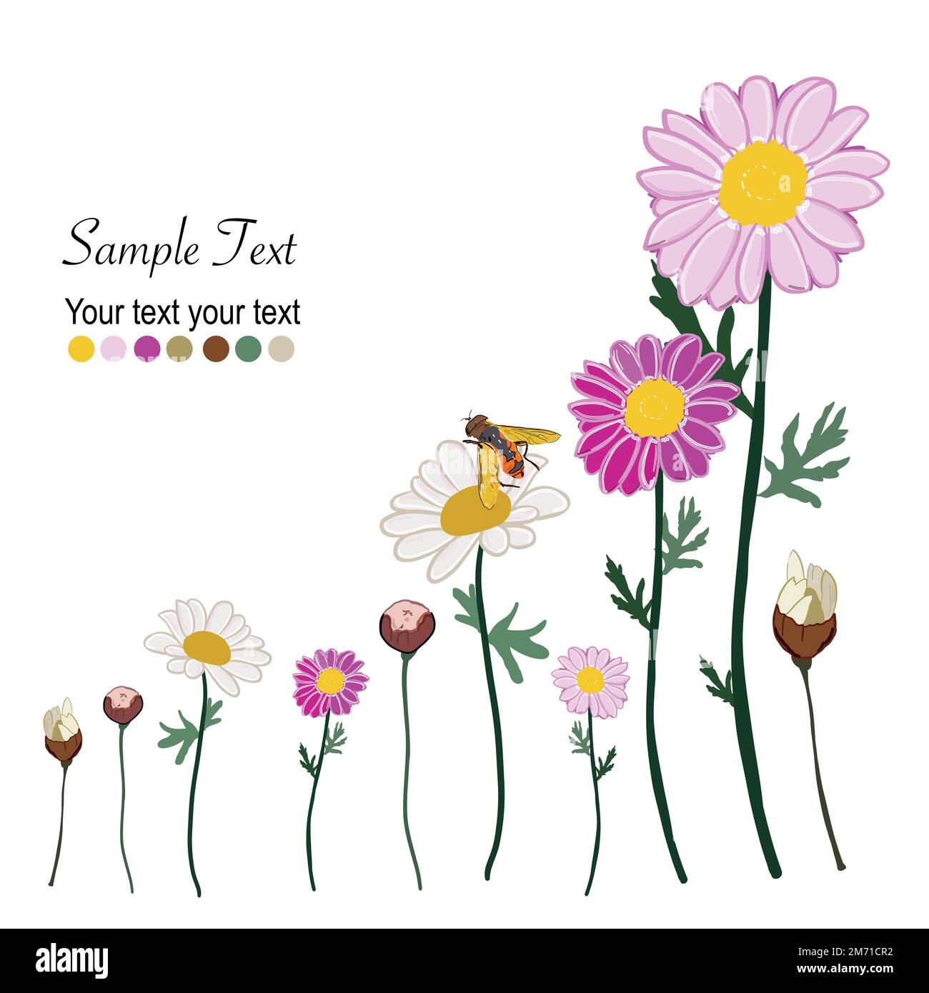 Purple, white flowers and bee spring flower greeting Stock Vector Image ...