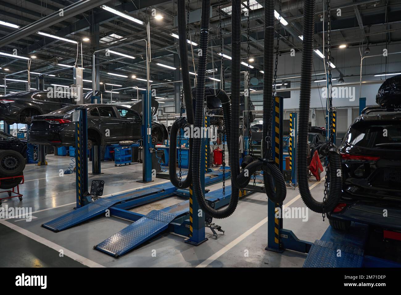 Car raised on car lift in auto service Stock Photo - Alamy