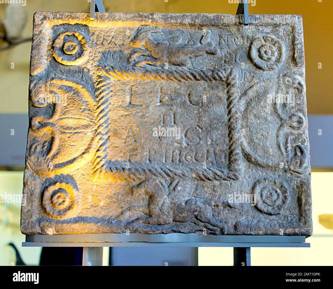 Second legion hi-res stock photography and images - Alamy