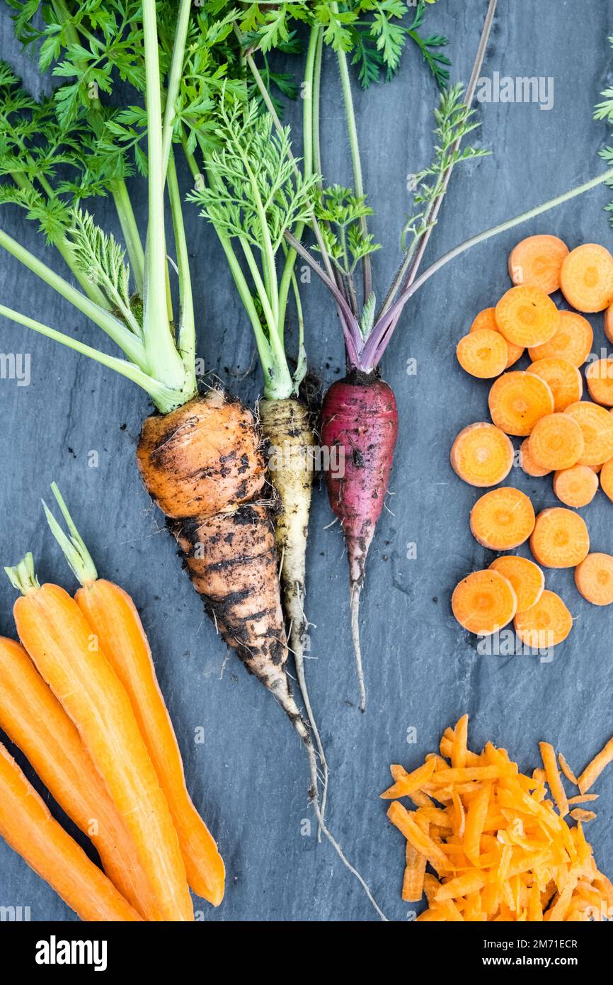 Freshly harvested rainbow carrots covered in soil with sliced carrots ...