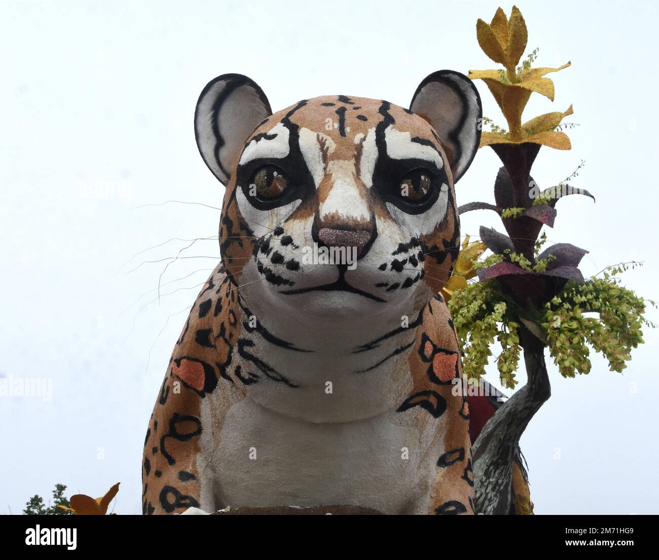 Pasadena, California, USA 3rd January 2023 Ocelot on Welcome to the ...