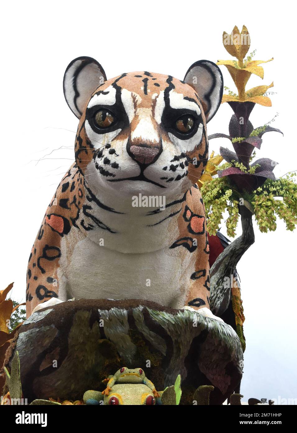 Pasadena, California, USA 3rd January 2023 Ocelot on Welcome to the ...