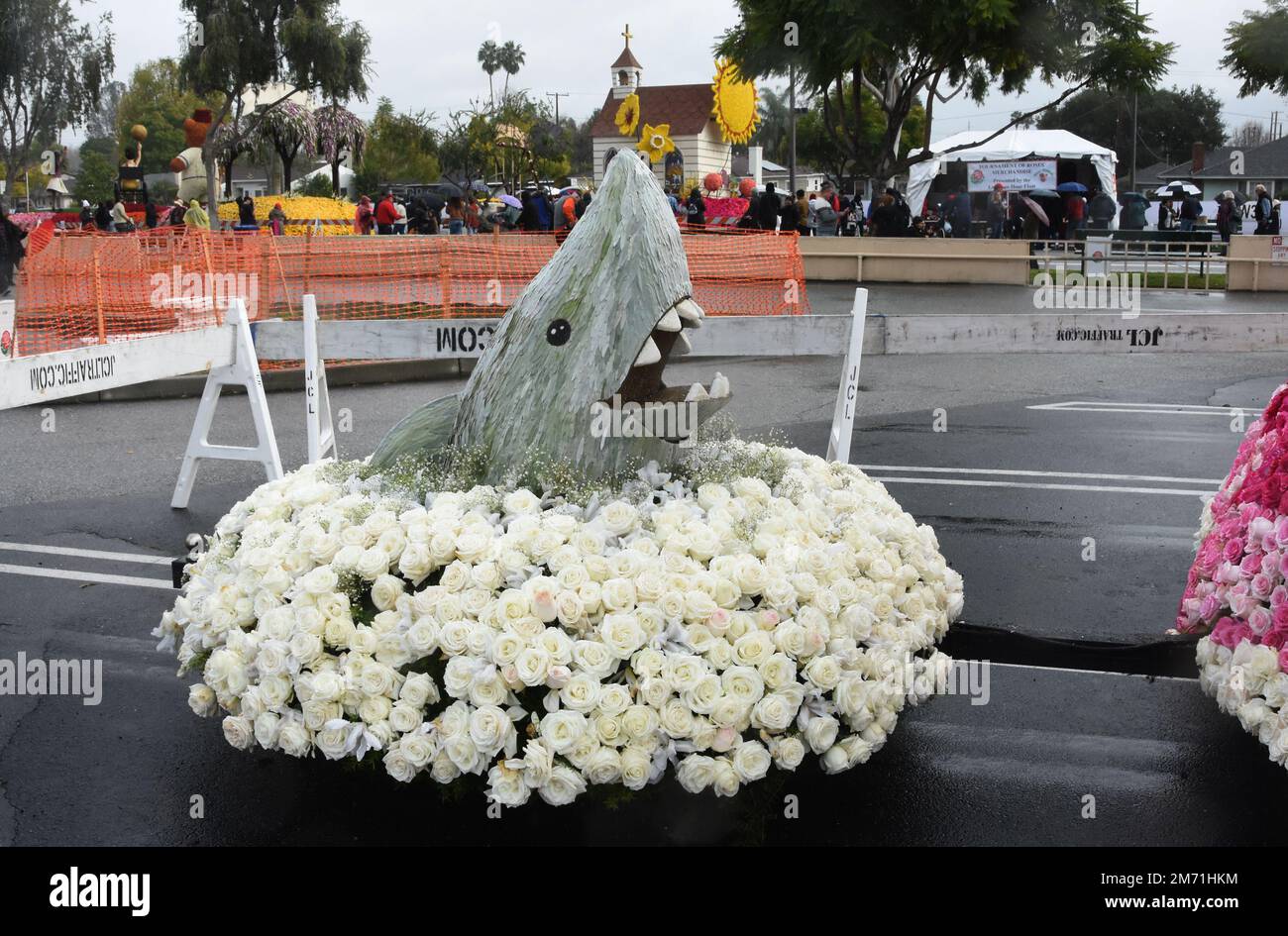 Pasadena, California, USA 3rd January 2023 Shark on Trader Joes Rose ...