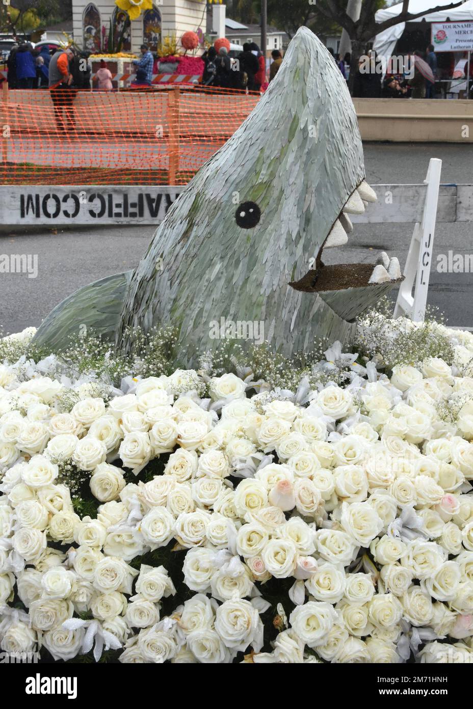 Pasadena, California, USA 3rd January 2023 Shark on Trader Joes Rose ...