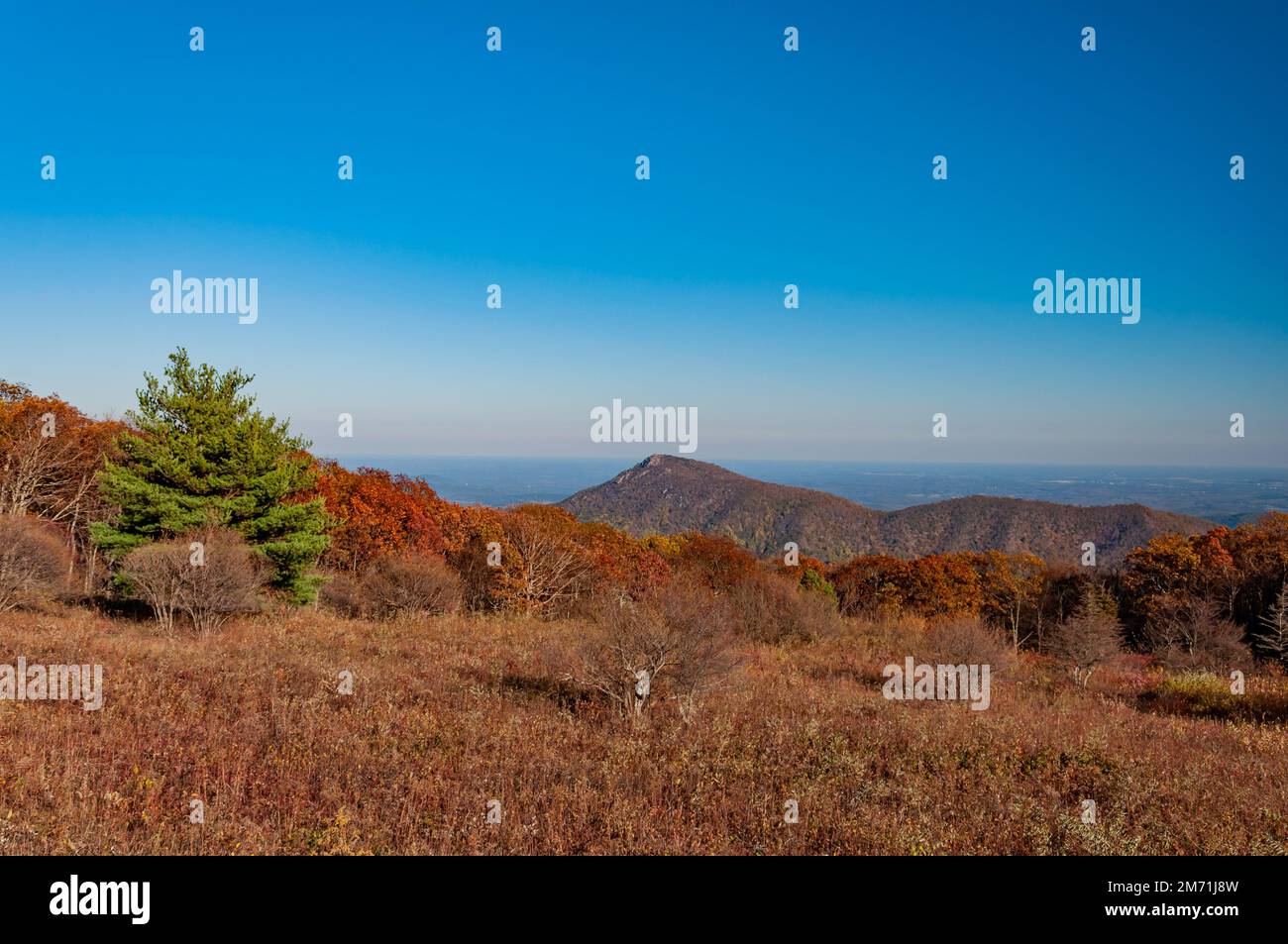 Old Rag Mountain in Late October, Virginia Stock Photo - Alamy