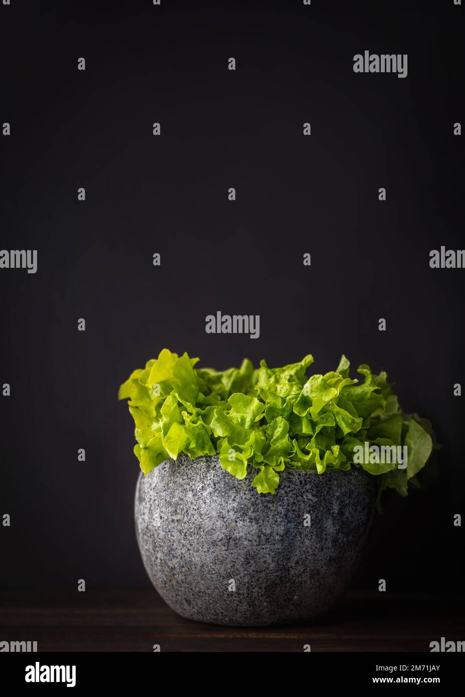 Batavia green lettuce isolated on black background Stock Photo - Alamy