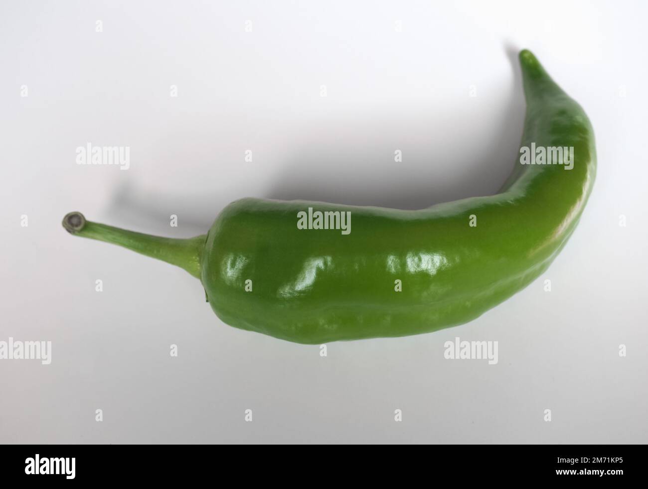 green peppers scientific name Capsicum aka bell peppers vegetables ...