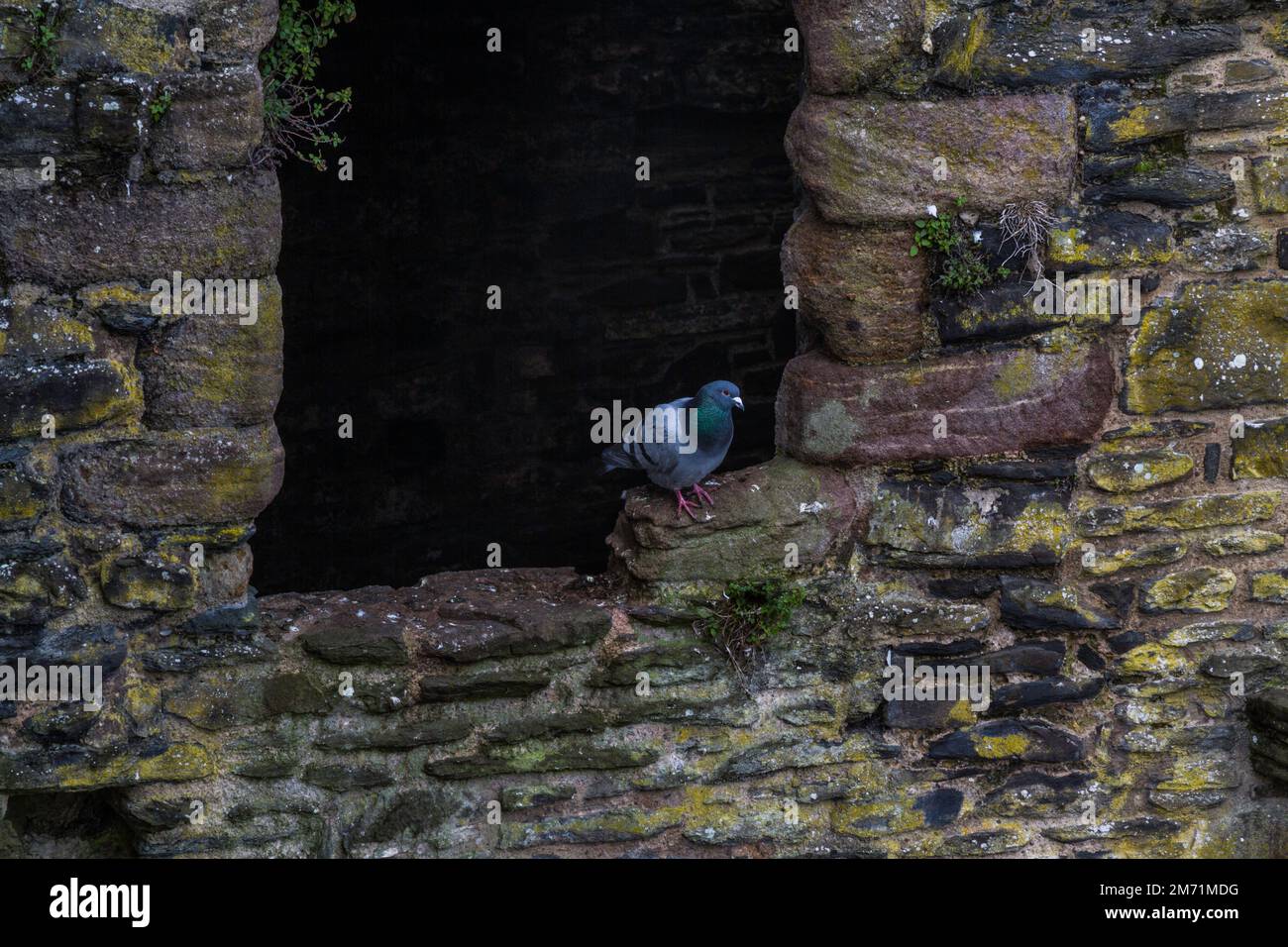 Medieval masonry hi-res stock photography and images - Alamy